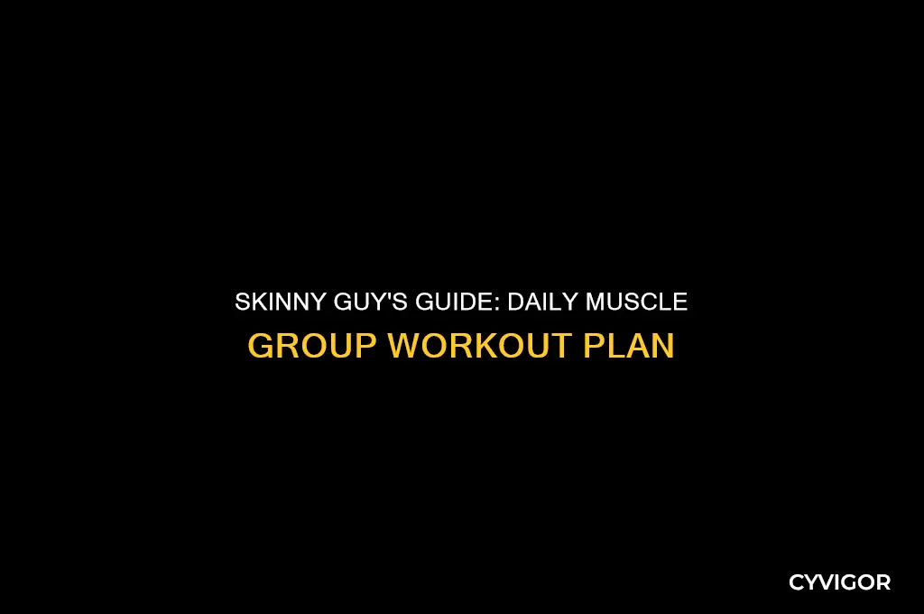 Skinny Guy's Guide: Daily Muscle Group Workout Plan | CyVigor