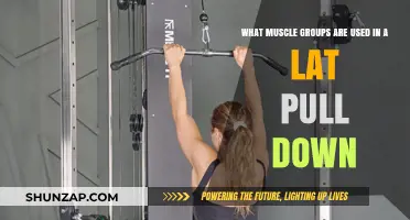 Trigger Finger Mechanics: Muscles Involved In Pulling A Trigger | CyVigor