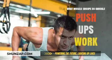 Push-Ups: Targeted Muscle Groups And Full-Body Benefits Explained | CyVigor