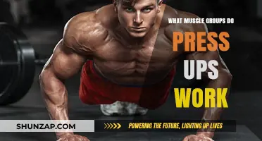 Push-Ups: Targeted Muscle Groups And Full-Body Benefits Explained | CyVigor