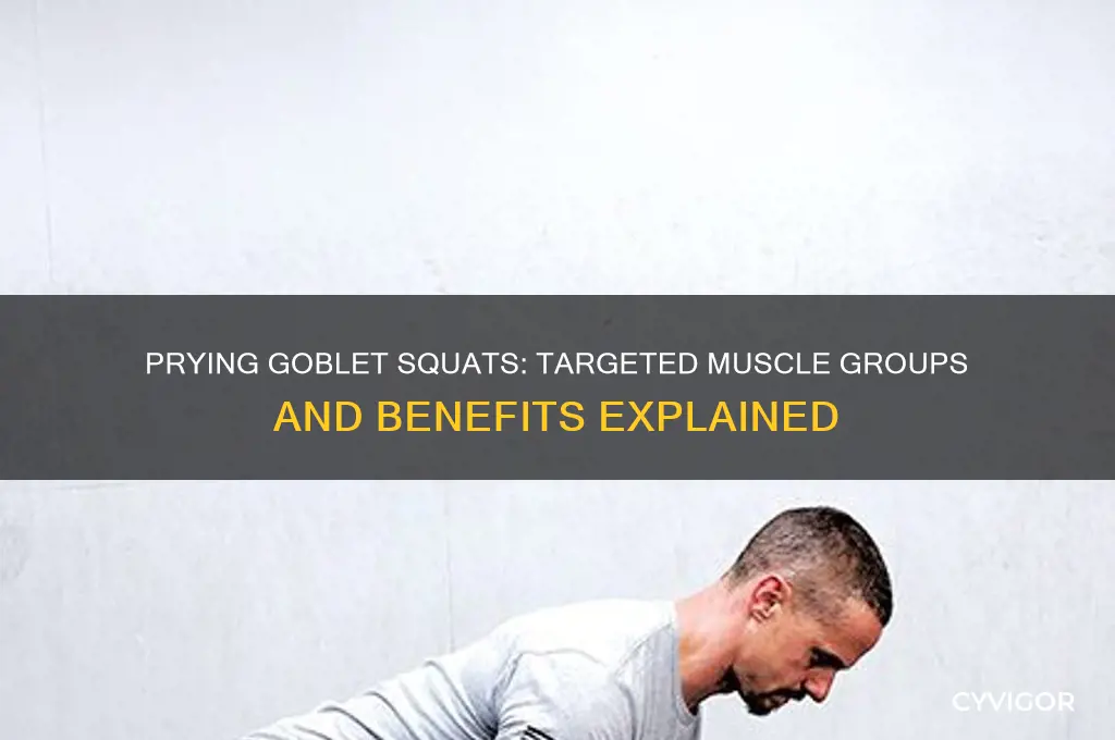 Prying Goblet Squats: Targeted Muscle Groups And Benefits Explained ...