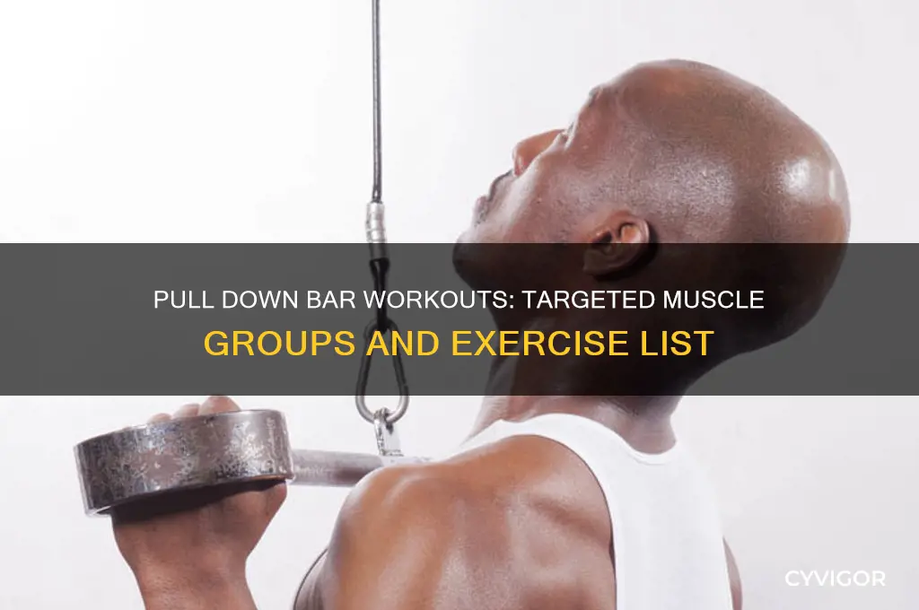 Pull Down Bar Workouts: Targeted Muscle Groups And Exercise List | CyVigor