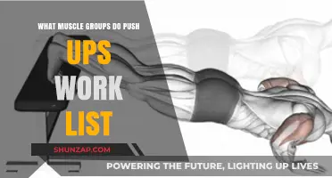 Incline Push-Ups: Targeted Muscle Groups And Benefits Explained | CyVigor