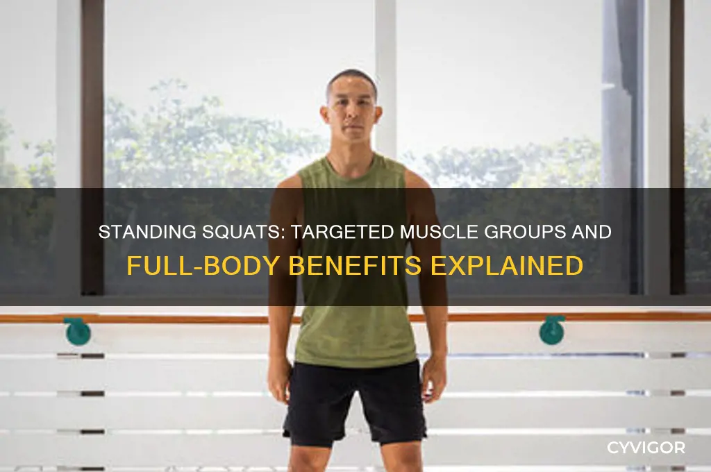 Standing Squats: Targeted Muscle Groups And Full-Body Benefits ...