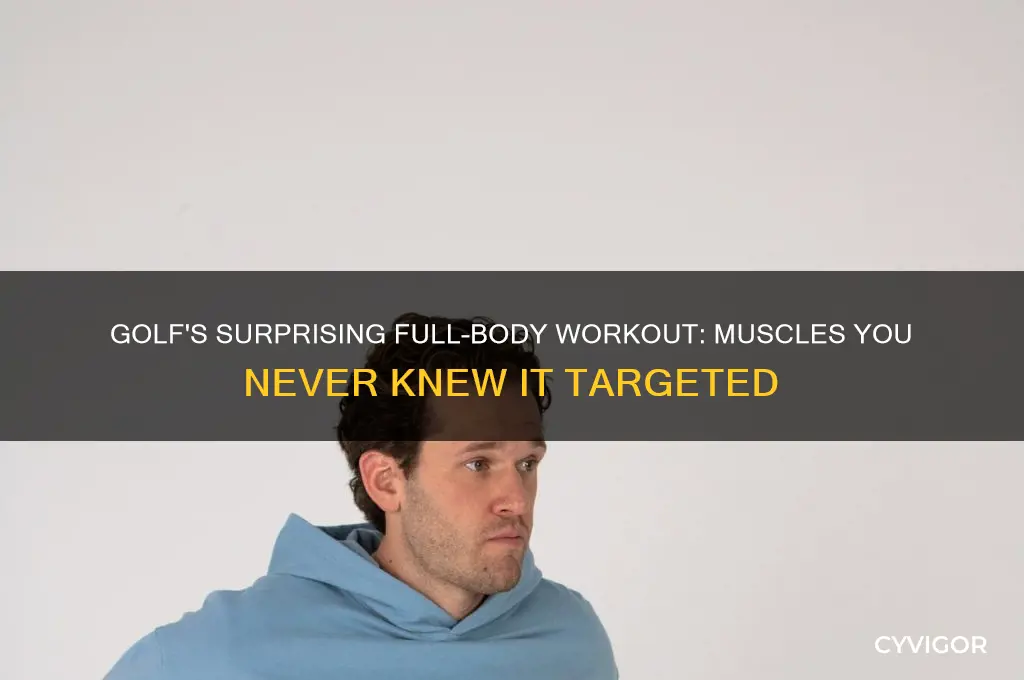 Golf's Surprising Full-Body Workout: Muscles You Never Knew It Targeted ...