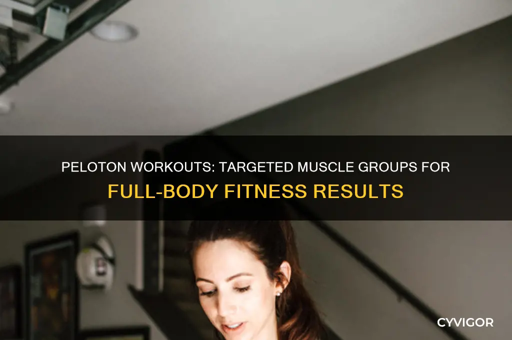 Peloton Workouts: Targeted Muscle Groups For Full-Body Fitness Results ...