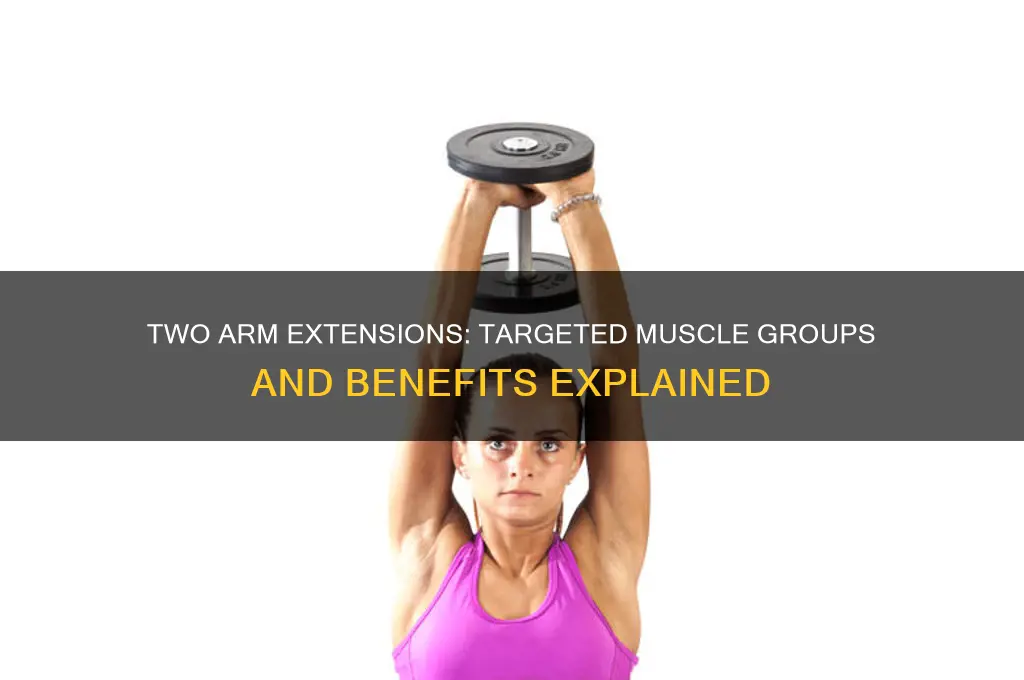 Two Arm Extensions: Targeted Muscle Groups And Benefits Explained | CyVigor