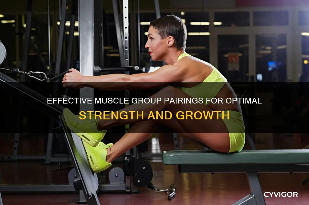 Effective Muscle Group Pairings For Optimal Strength And Growth | CyVigor