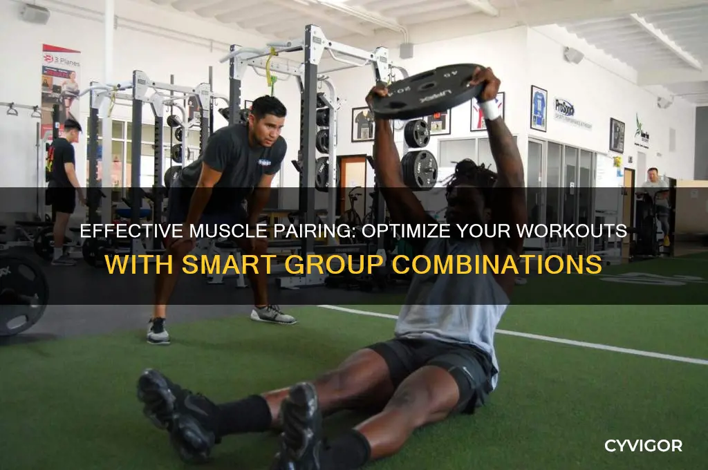 Effective Muscle Pairing: Optimize Your Workouts With Smart Group ...