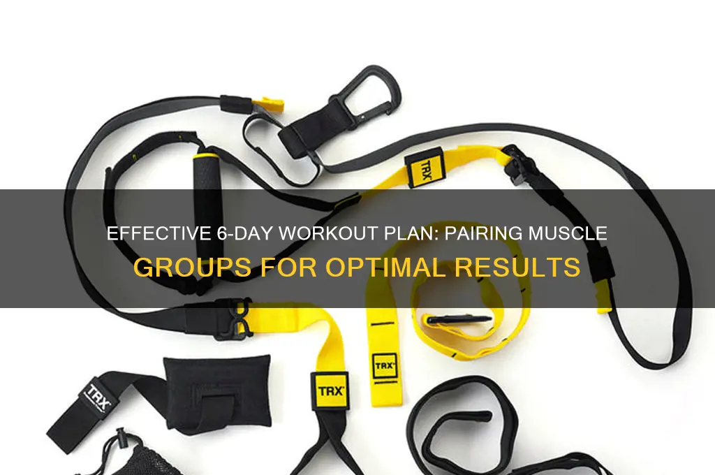 Effective 6-Day Workout Plan: Pairing Muscle Groups For Optimal Results ...