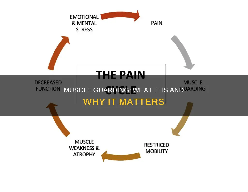 Muscle Guarding: What It Is And Why It Matters | CyVigor