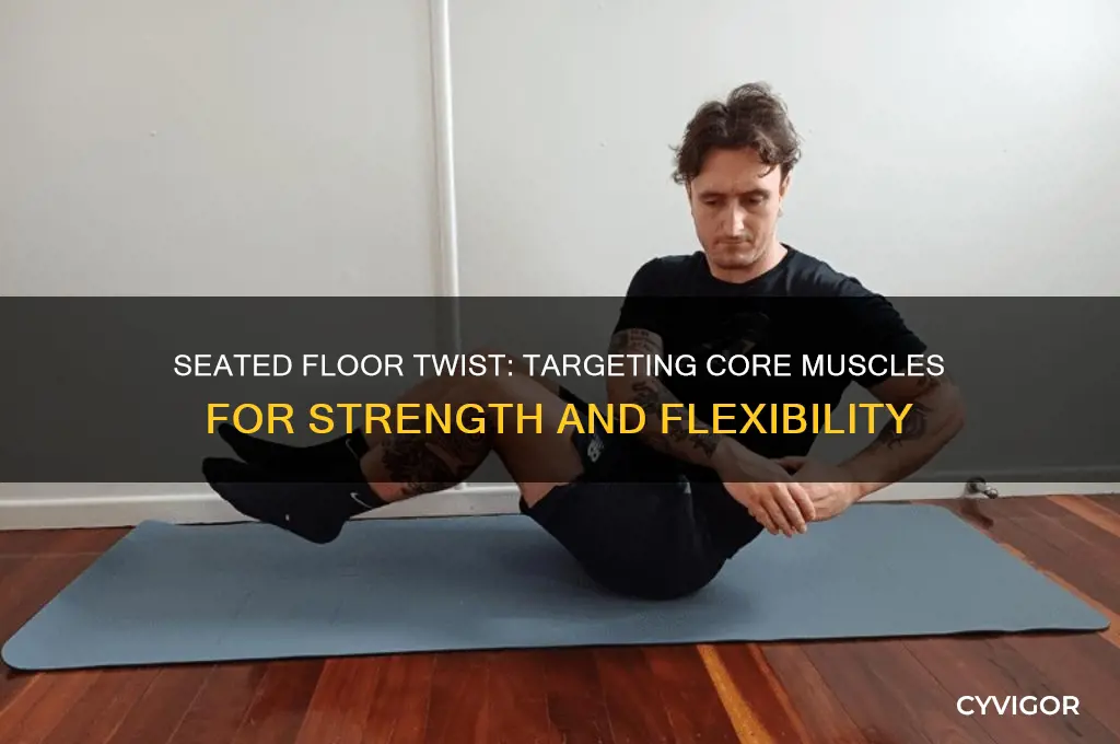 Seated Floor Twist: Targeting Core Muscles For Strength And Flexibility ...