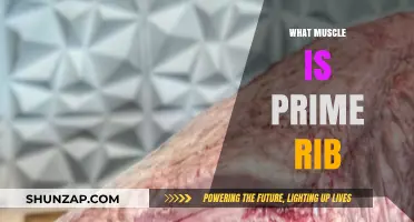 Understanding The Anatomy Of Your Pecs | CyVigor