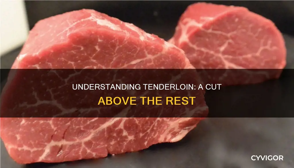 Understanding Tenderloin: A Cut Above The Rest | CyVigor