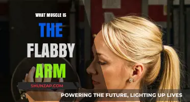 Forearm Movement: Muscles Responsible For Flexing And Rotating Your Arm ...