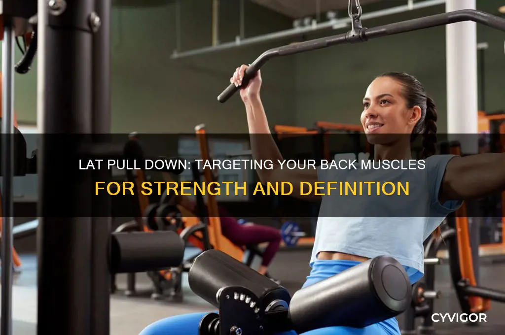 Lat Pull Down: Targeting Your Back Muscles For Strength And Definition ...