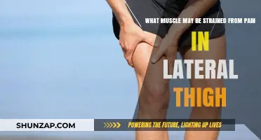 Hip Muscles And Lower Back Pain: Unraveling The Connection For Relief ...