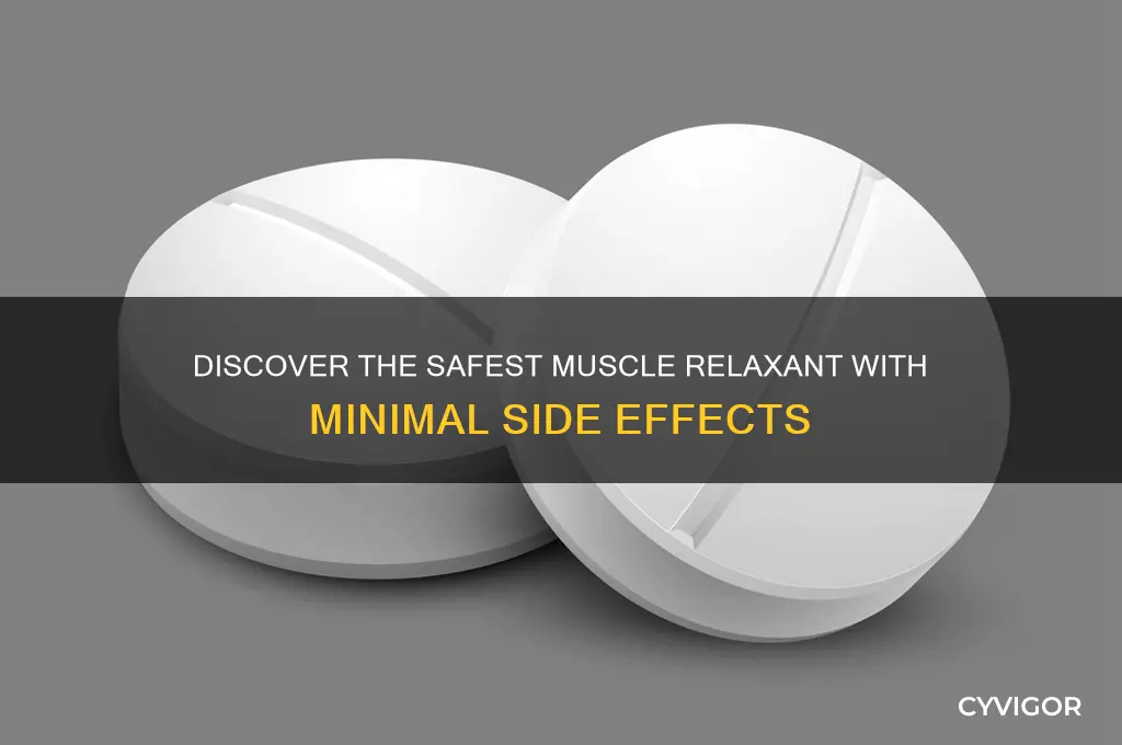 Discover The Safest Muscle Relaxant With Minimal Side Effects | CyVigor