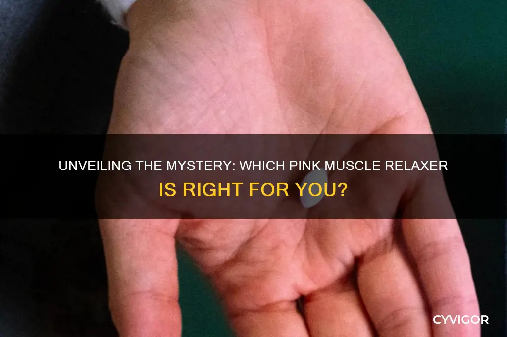 Unveiling The Mystery: Which Pink Muscle Relaxer Is Right For You ...