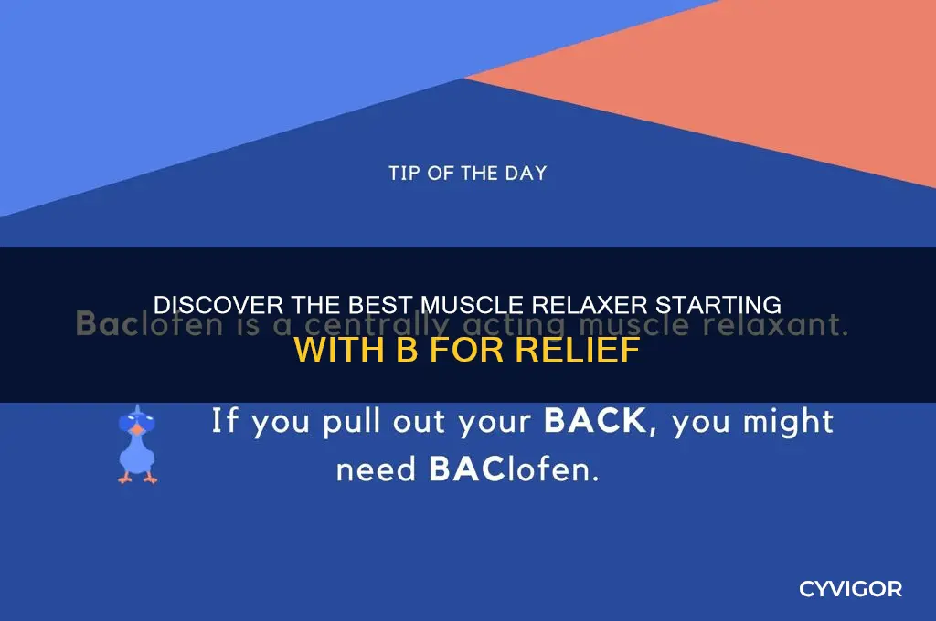 Discover The Best Muscle Relaxer Starting With B For Relief | CyVigor
