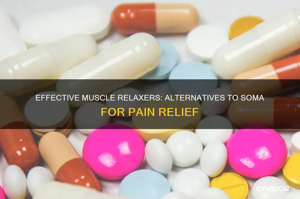 Effective Muscle Relaxers: Alternatives To Soma For Pain Relief | CyVigor