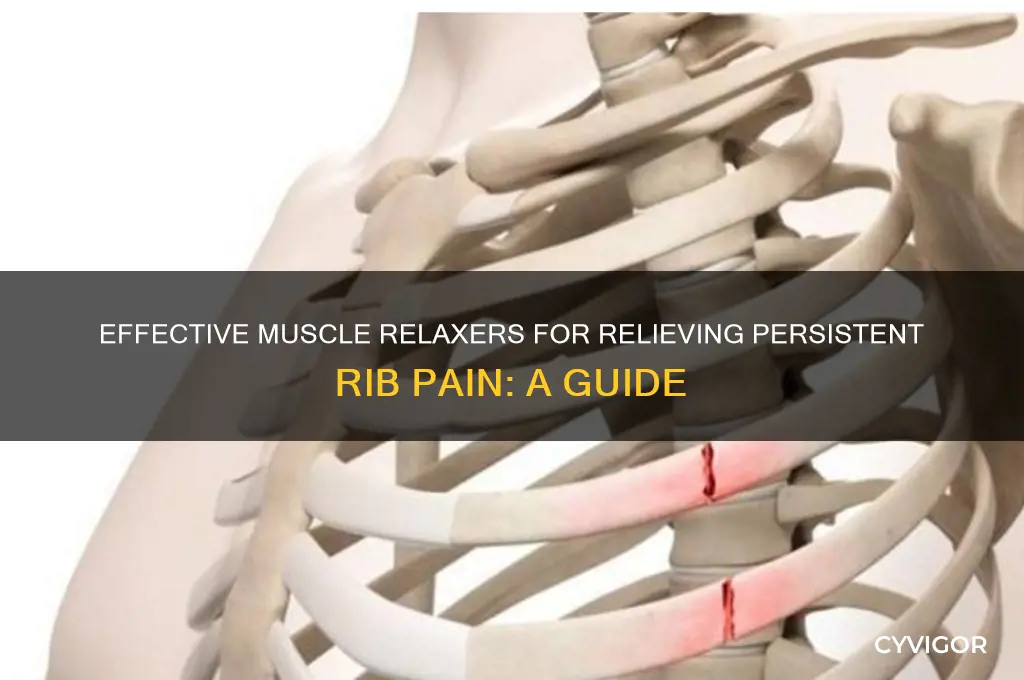 Effective Muscle Relaxers For Relieving Persistent Rib Pain: A Guide ...