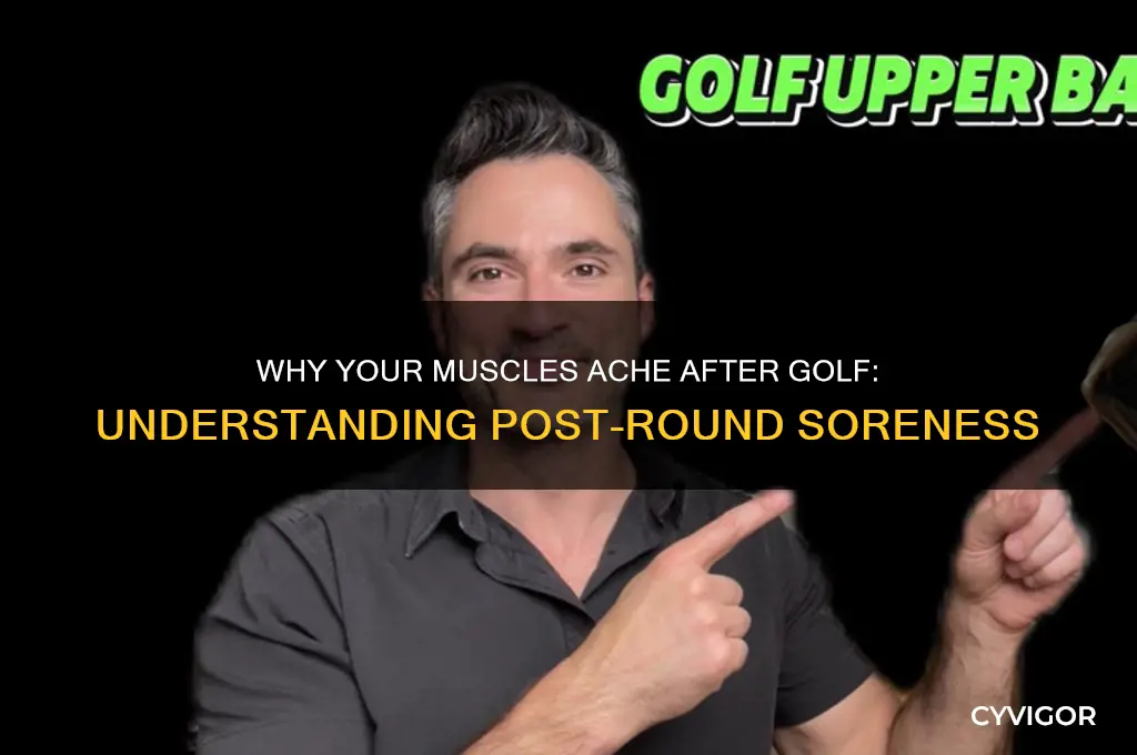 Why Your Muscles Ache After Golf: Understanding Post-Round Soreness ...