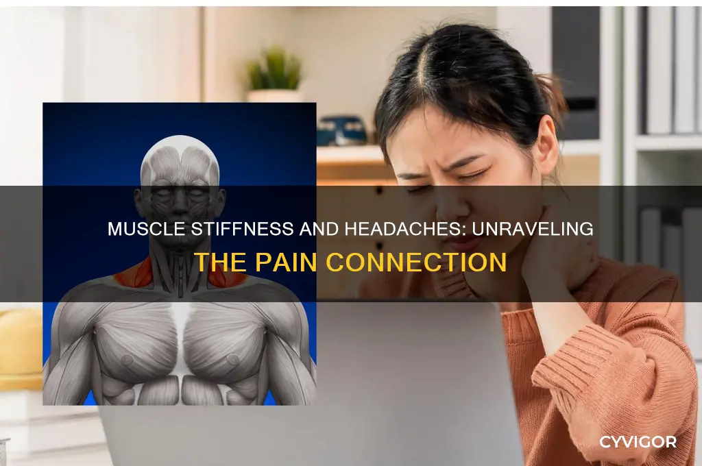 Muscle Stiffness And Headaches: Unraveling The Pain Connection | CyVigor
