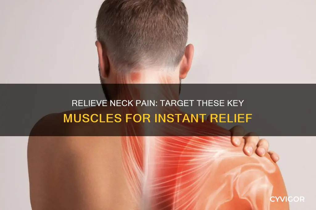 Relieve Neck Pain: Target These Key Muscles For Instant Relief | CyVigor