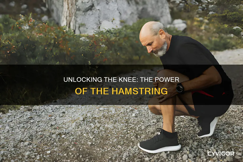 Unlocking The Knee: The Power Of The Hamstring | CyVigor