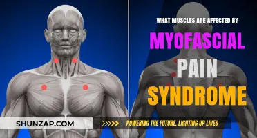 Understanding Jaw Pain: Nerve And Muscle Connections Explained | CyVigor