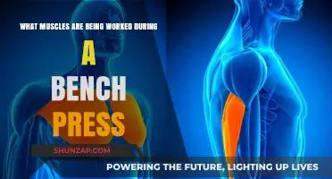 Long Jump Muscles: Unlocking Power And Explosiveness In Every Leap ...