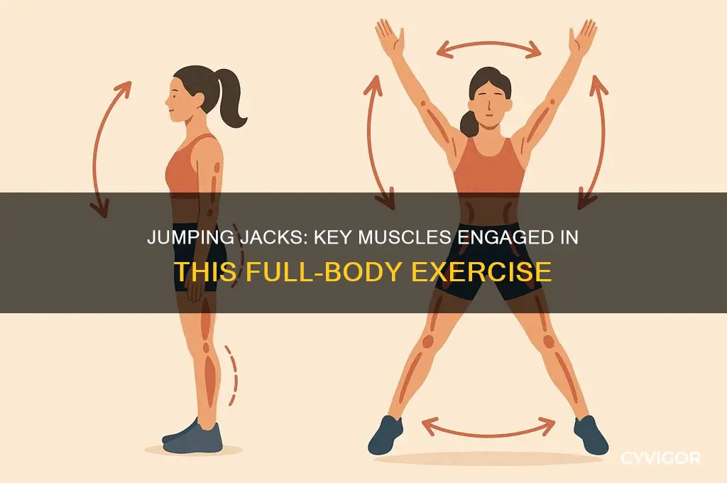 Jumping Jacks: Key Muscles Engaged In This Full-Body Exercise | CyVigor