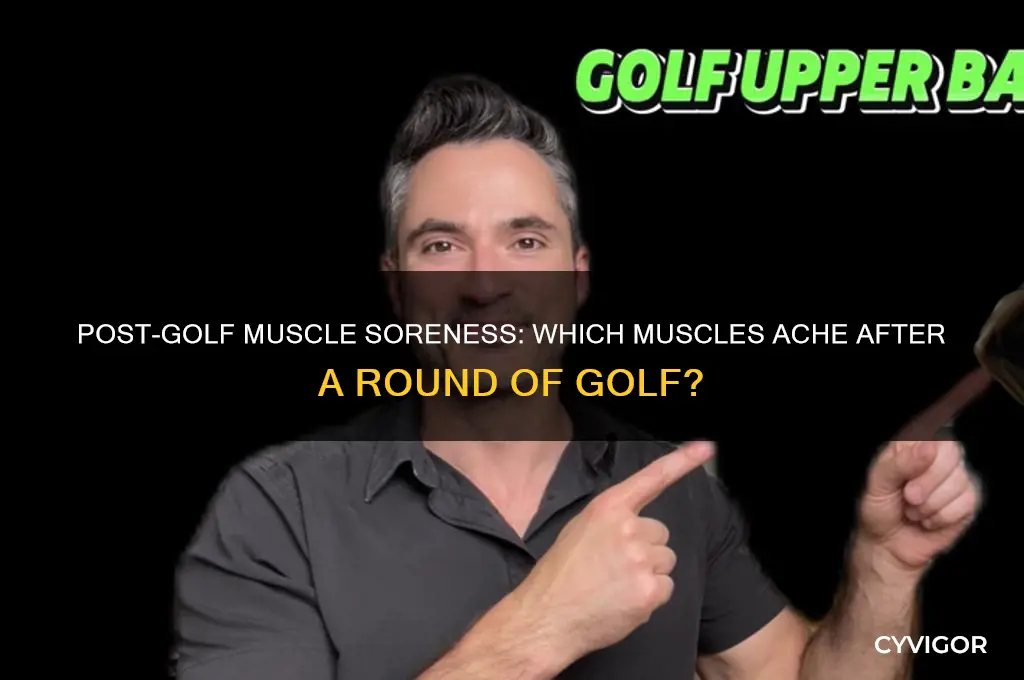 Post-Golf Muscle Soreness: Which Muscles Ache After A Round Of Golf ...