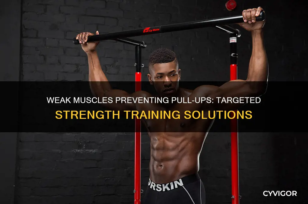 Weak Muscles Preventing Pull-Ups: Targeted Strength Training Solutions ...