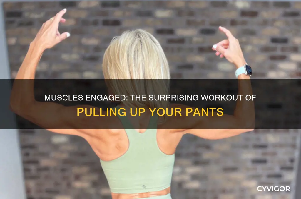 Muscles Engaged: The Surprising Workout Of Pulling Up Your Pants | CyVigor