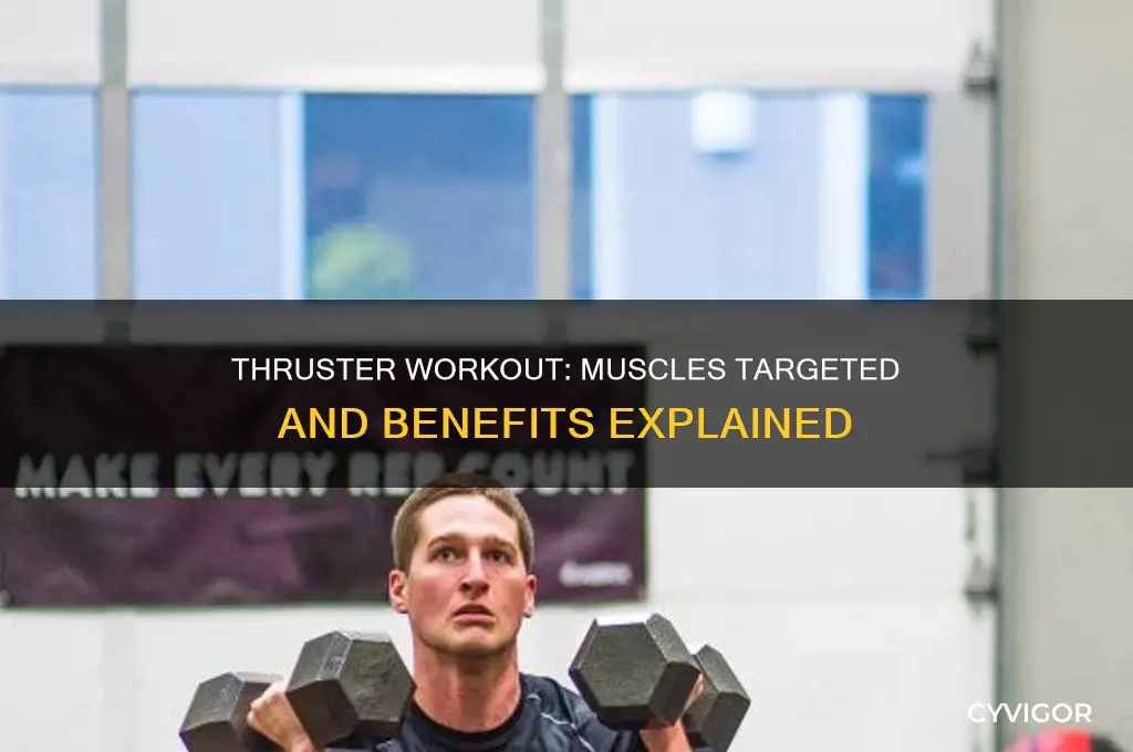 Thruster Workout: Muscles Targeted And Benefits Explained | CyVigor