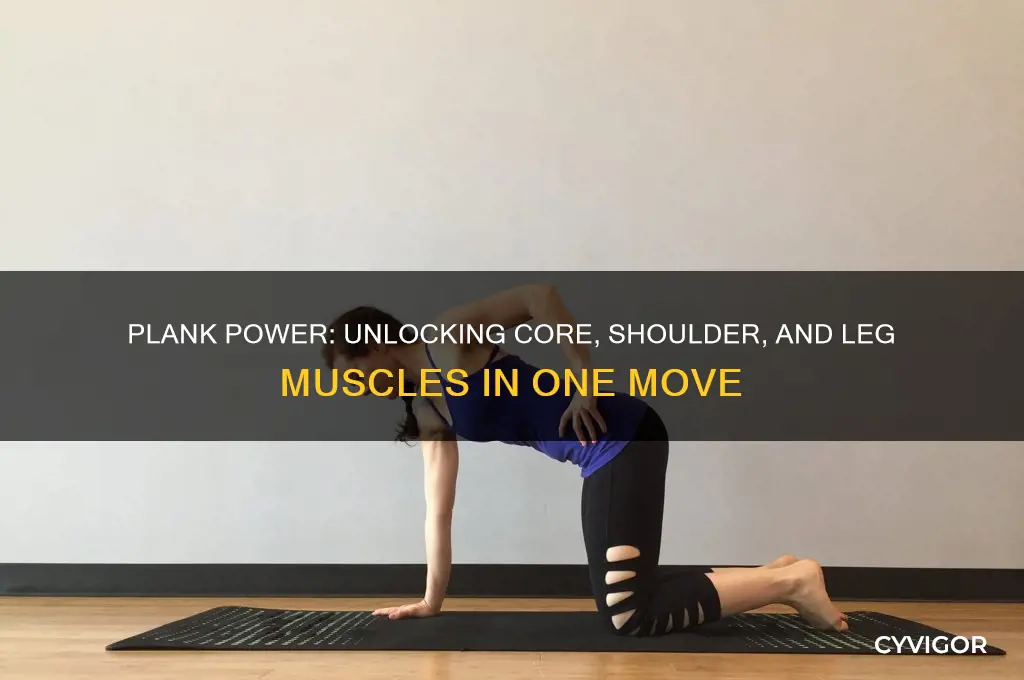 Plank Power: Unlocking Core, Shoulder, And Leg Muscles In One Move ...