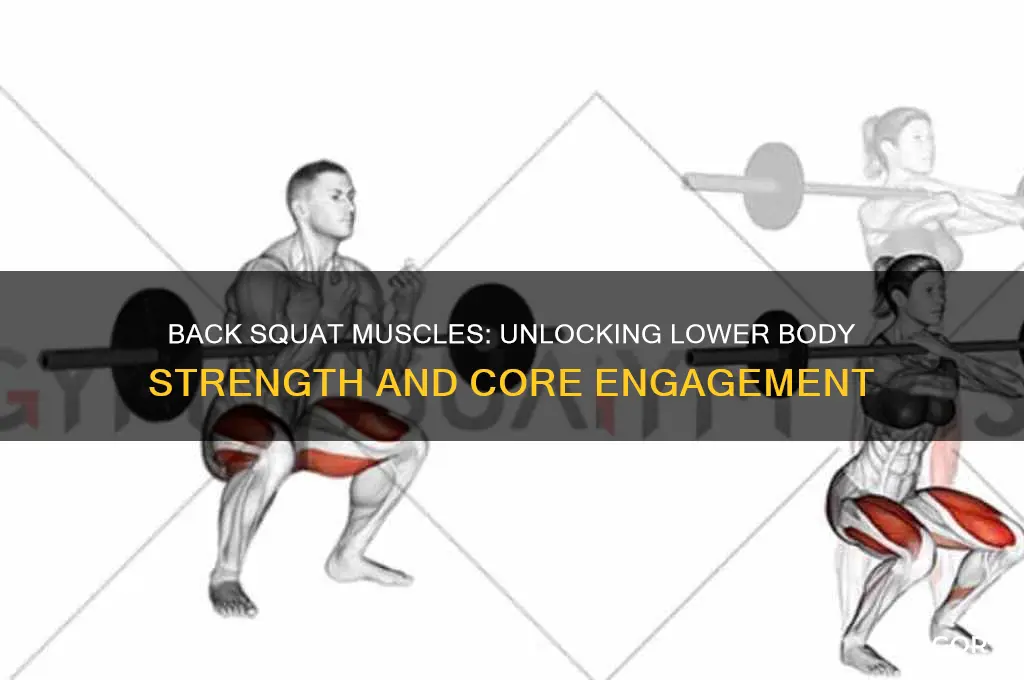 Back Squat Muscles: Unlocking Lower Body Strength And Core Engagement ...