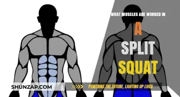 Chest Flyes: Targeted Muscles And Benefits For Upper Body Strength ...