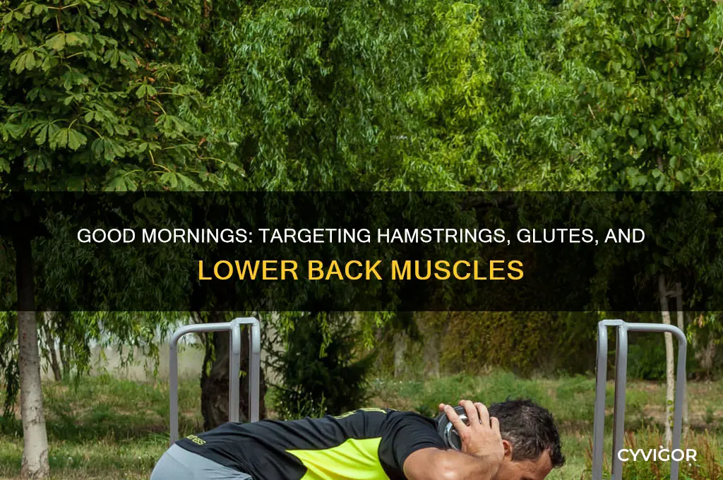 Good Mornings: Targeting Hamstrings, Glutes, And Lower Back Muscles ...