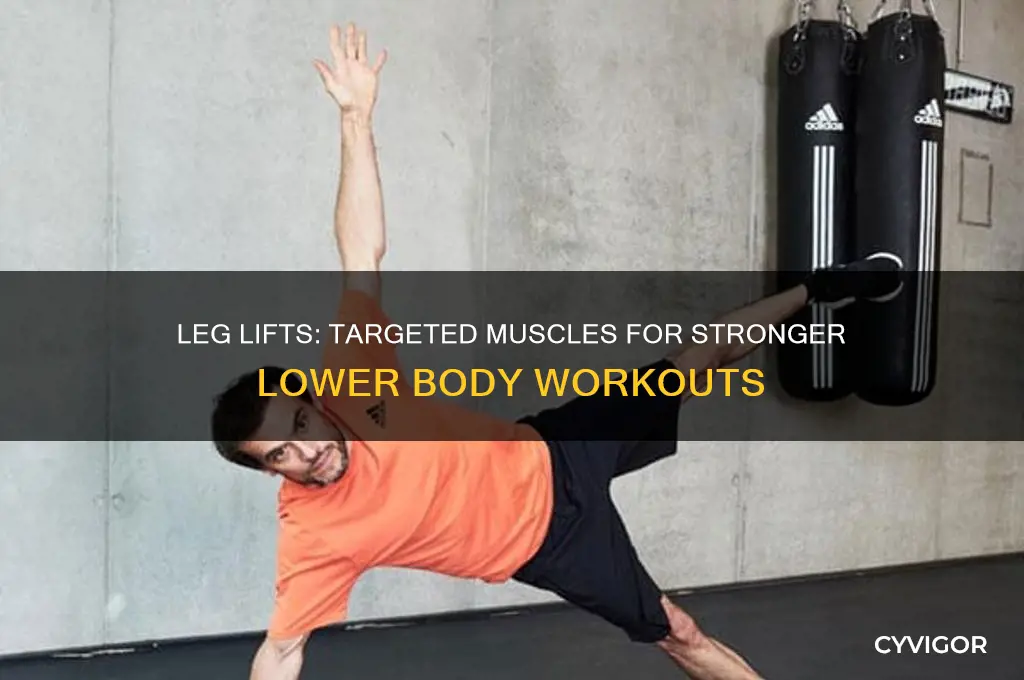 Leg Lifts: Targeted Muscles For Stronger Lower Body Workouts | CyVigor