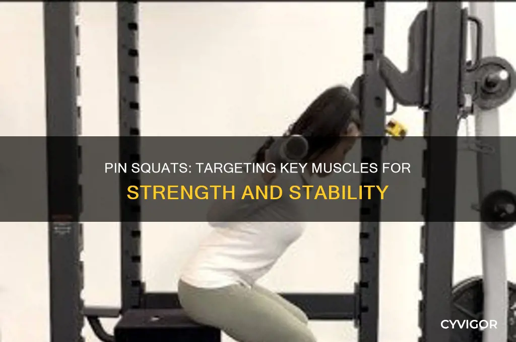Pin Squats: Targeting Key Muscles For Strength And Stability | CyVigor