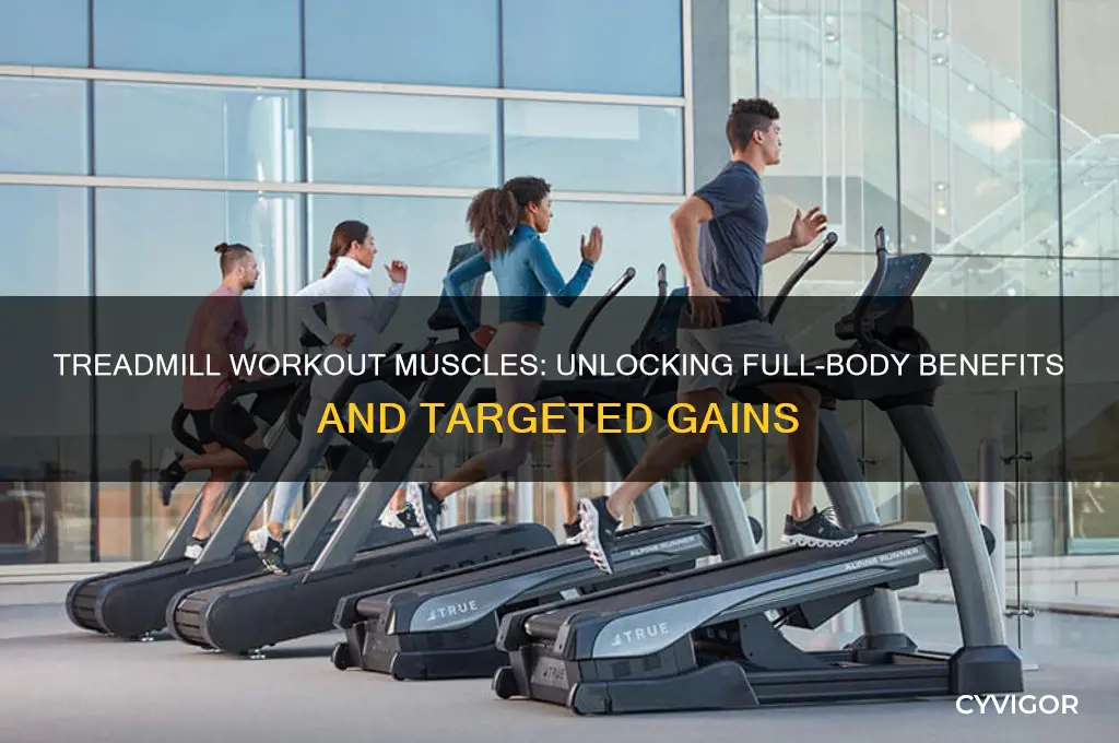 Treadmill Workout Muscles: Unlocking Full-Body Benefits And Targeted ...