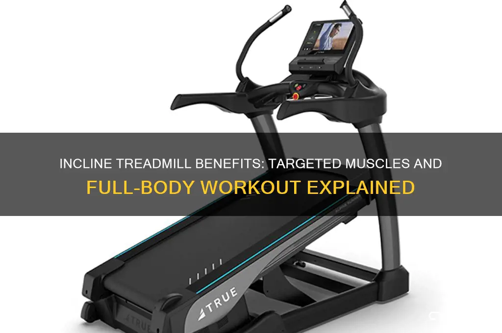 Incline Treadmill Benefits: Targeted Muscles And Full-Body Workout ...