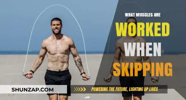 Muscles In Motion: Understanding Gait's Key Muscular Players | CyVigor