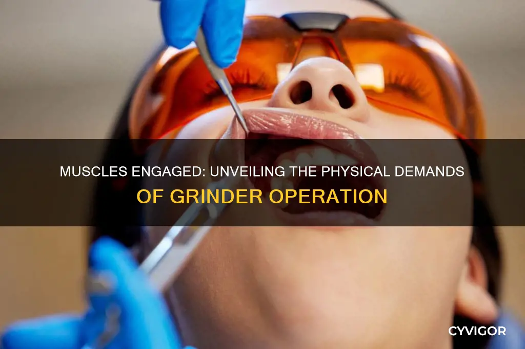 Muscles Engaged: Unveiling The Physical Demands Of Grinder Operation ...