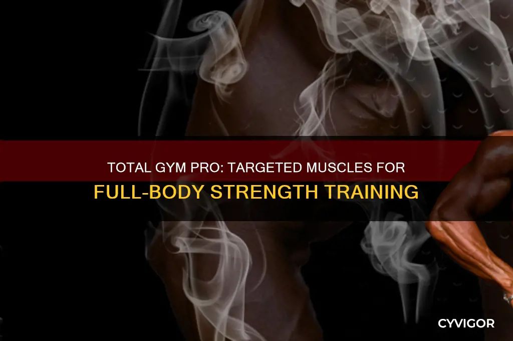 Total Gym Pro: Targeted Muscles For Full-Body Strength Training | CyVigor