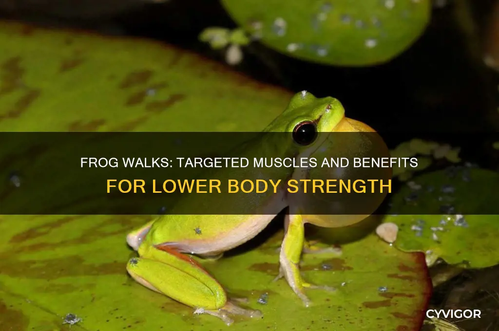 Frog Walks: Targeted Muscles And Benefits For Lower Body Strength | CyVigor