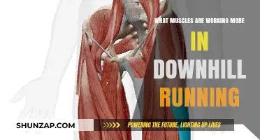 Muscles In Motion: Understanding Gait's Key Muscular Players | CyVigor